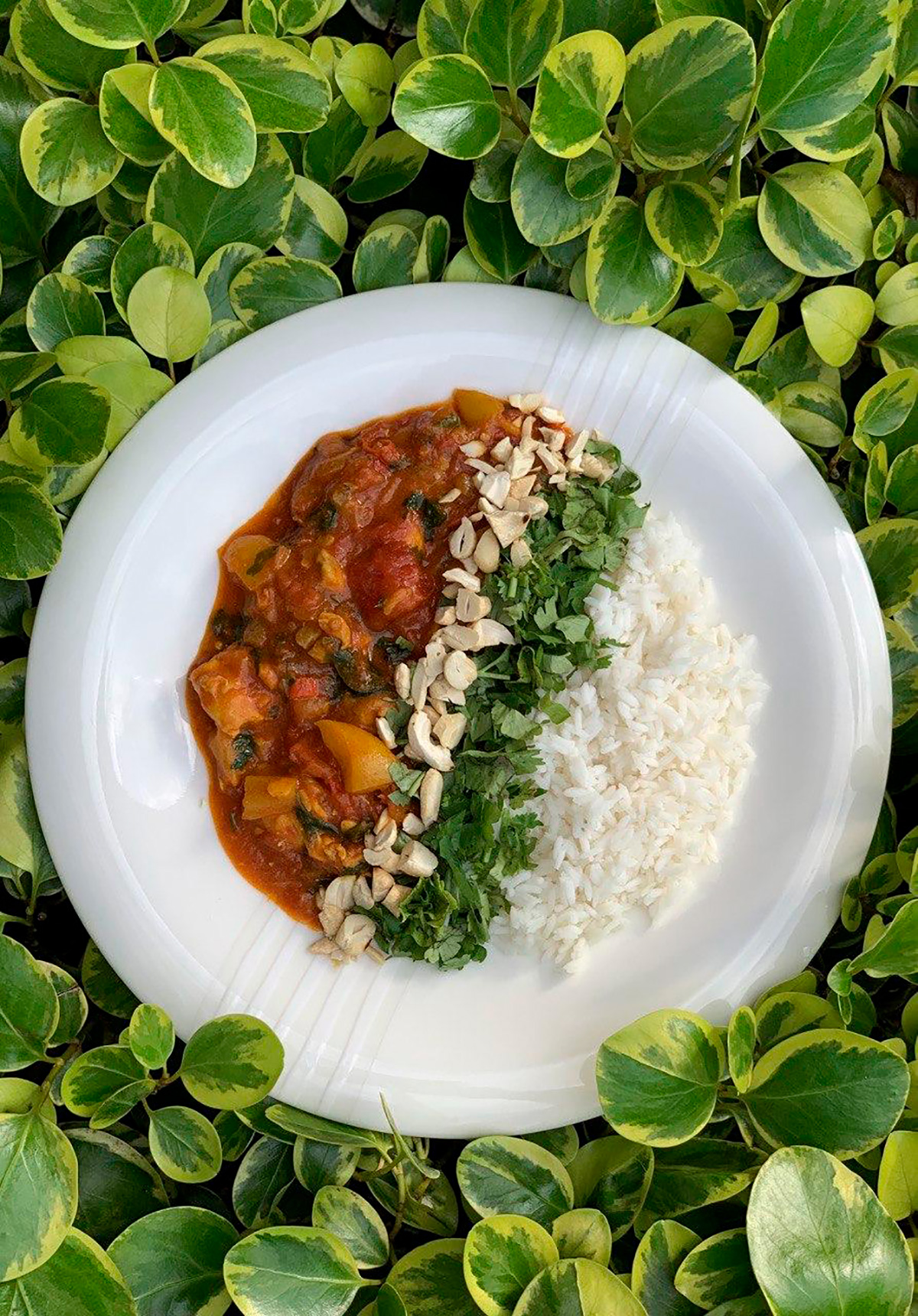 Thai yellow chicken curry • Maria Kalenska Gastronomy Blog